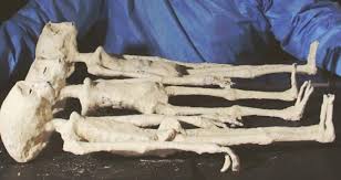 Ancient Civilizations: Human Sacrifice, Megaliths, and UAP Phenomena ...