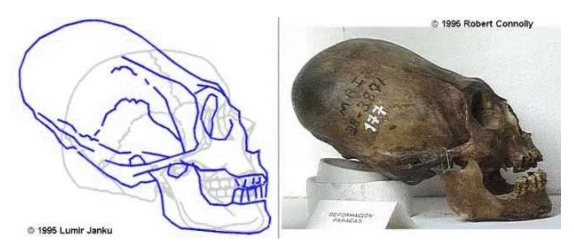 Ancient Civilizations: Human Sacrifice, Megaliths, and UAP Phenomena ...
